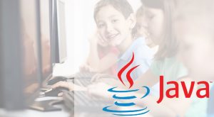 JAVA Programming – Stem Freak